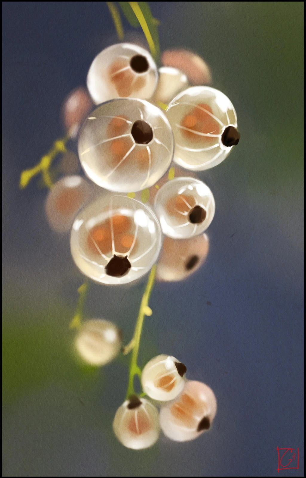 Displacer Berries | RealmsofAhlus Wiki | Fandom