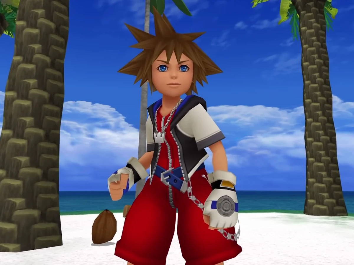 Sora | Real-Time Fandub Wiki | Fandom