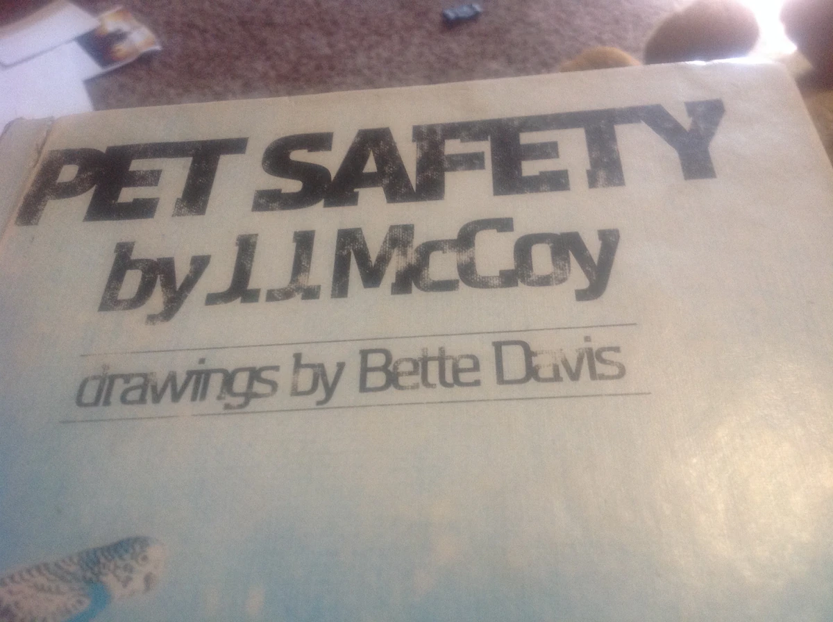 Pet Safety (J.J McCoy) | RealVsbyjakeob Wiki | Fandom