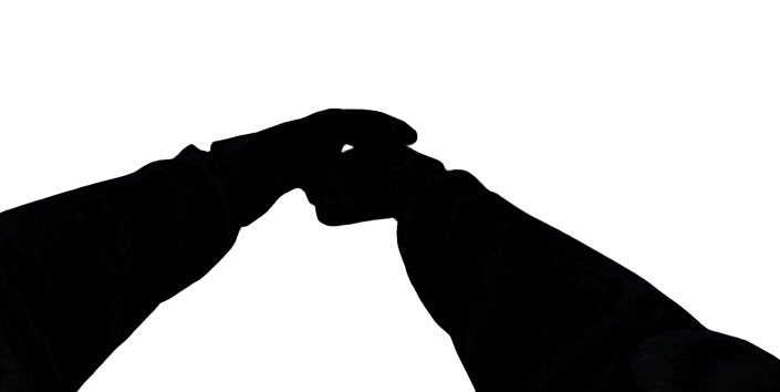 Player | Zoonomaly Wiki | Fandom