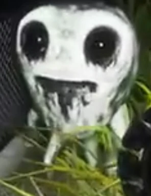 Friendly frog | Zoonomaly Wiki | Fandom