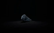 The Sheep Beast | REANIMAL Wiki | Fandom