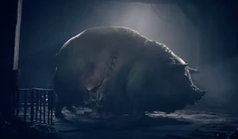 The Hog | REANIMAL Wiki | Fandom