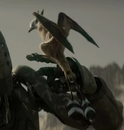 Species | Rebel Moon Wiki | Fandom