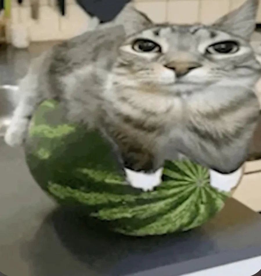 Onyx | Rebooted MCU Wiki | Fandom