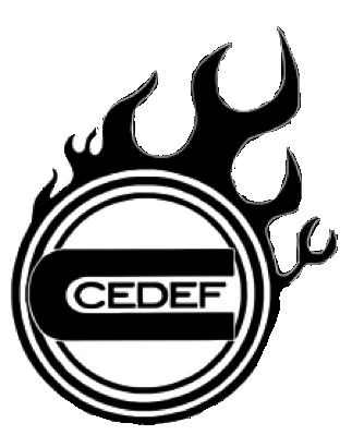 CEDEF | Reborn Wiki | Fandom