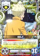Katekyo Hitman Reborn! Character Card Game Volume 2 | Reborn Wiki | Fandom