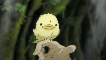 Hibird | Reborn Wiki | Fandom