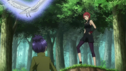 Future Final Battle Arc | Reborn Wiki | Fandom