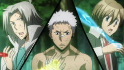 Future Final Battle Arc | Reborn Wiki | Fandom