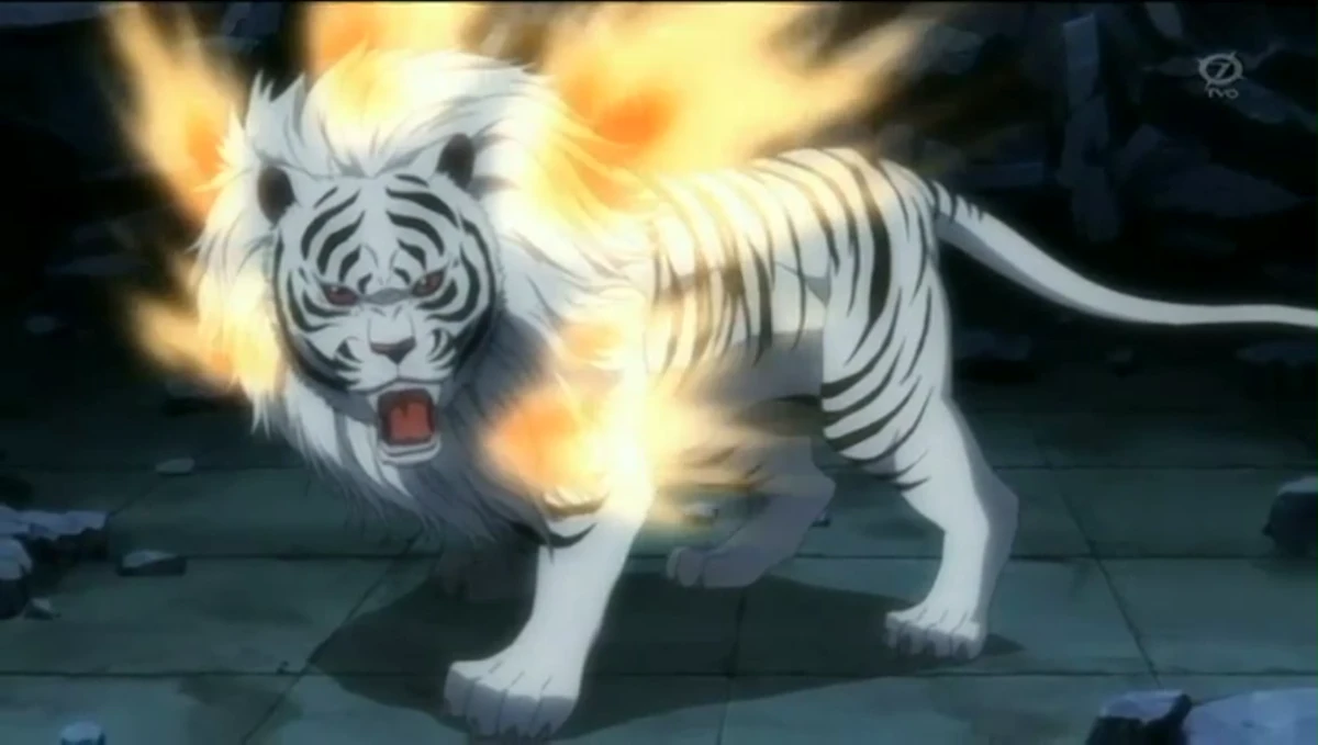 Ligre Tempesta di Cieli | Wiki Reborn | Fandom