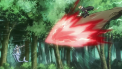 Future Final Battle Arc | Reborn Wiki | Fandom