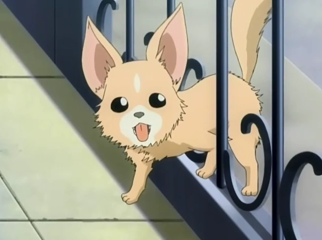 Rui | Reborn Wiki | Fandom