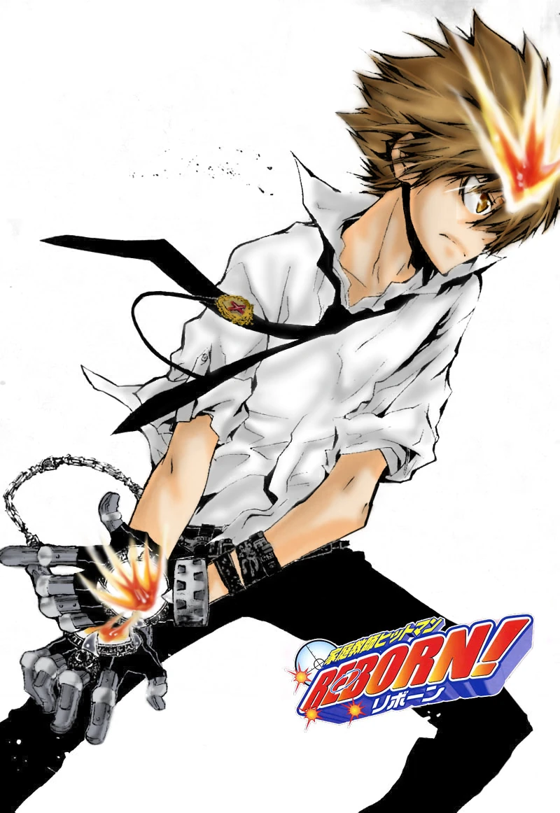 Sawada Tsunayoshi | Katekyo Hitman Reborn Brasil Wiki | Fandom
