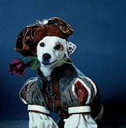 Wishbone (character) | Recast and Roleswap Wiki | Fandom