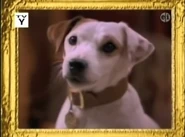 Wishbone (character) | Recast and Roleswap Wiki | Fandom