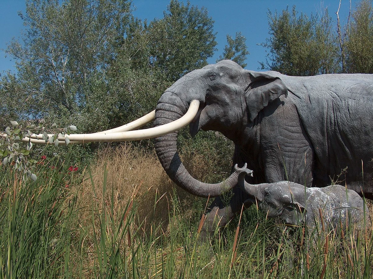 Palaeoloxodon antiquus | Recent Extinctions Wiki | Fandom