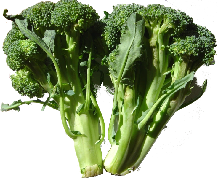 Broccoli | Recepten Wiki | Fandom
