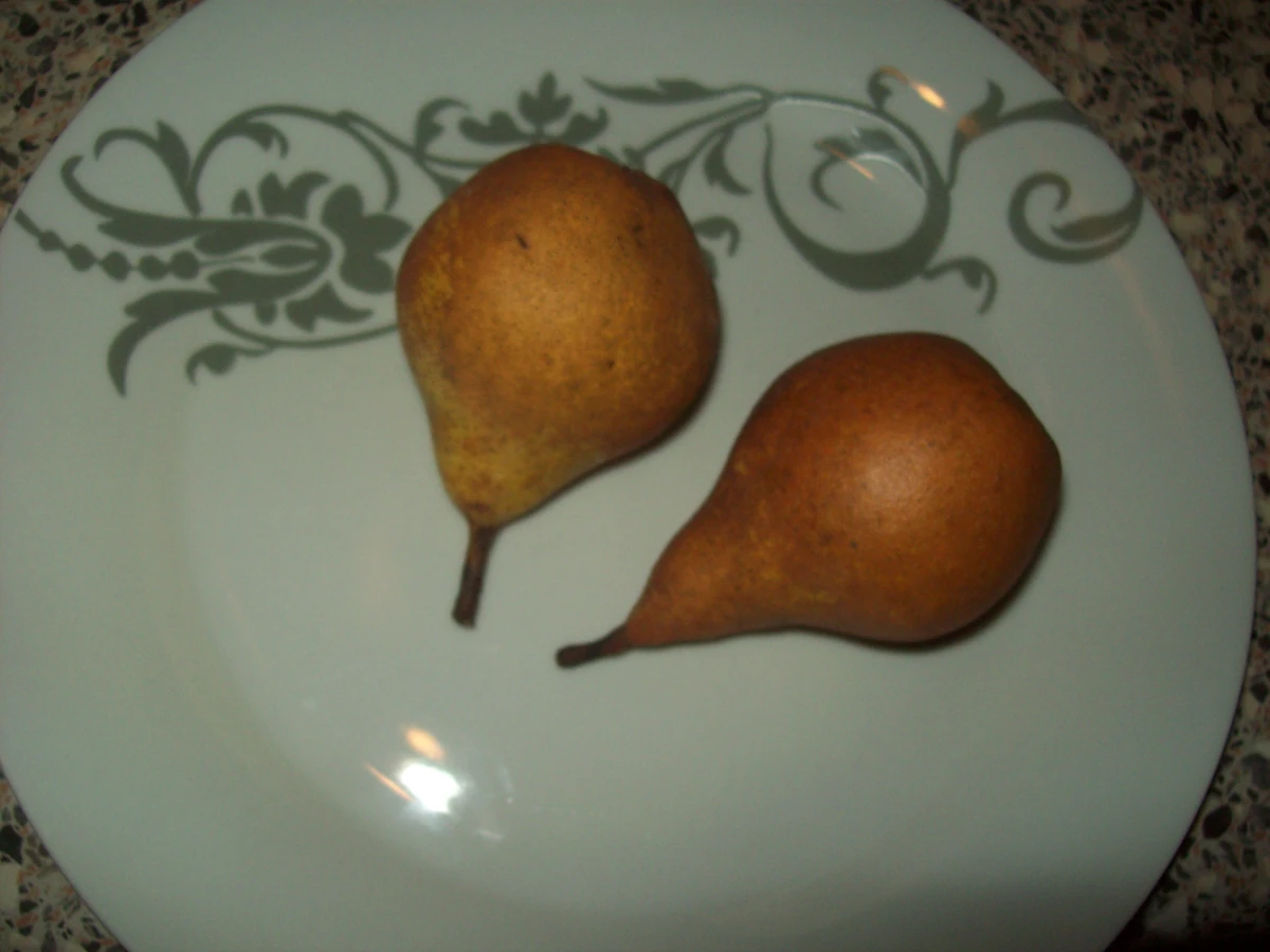 Stoofpeer | Recepten Wiki | Fandom