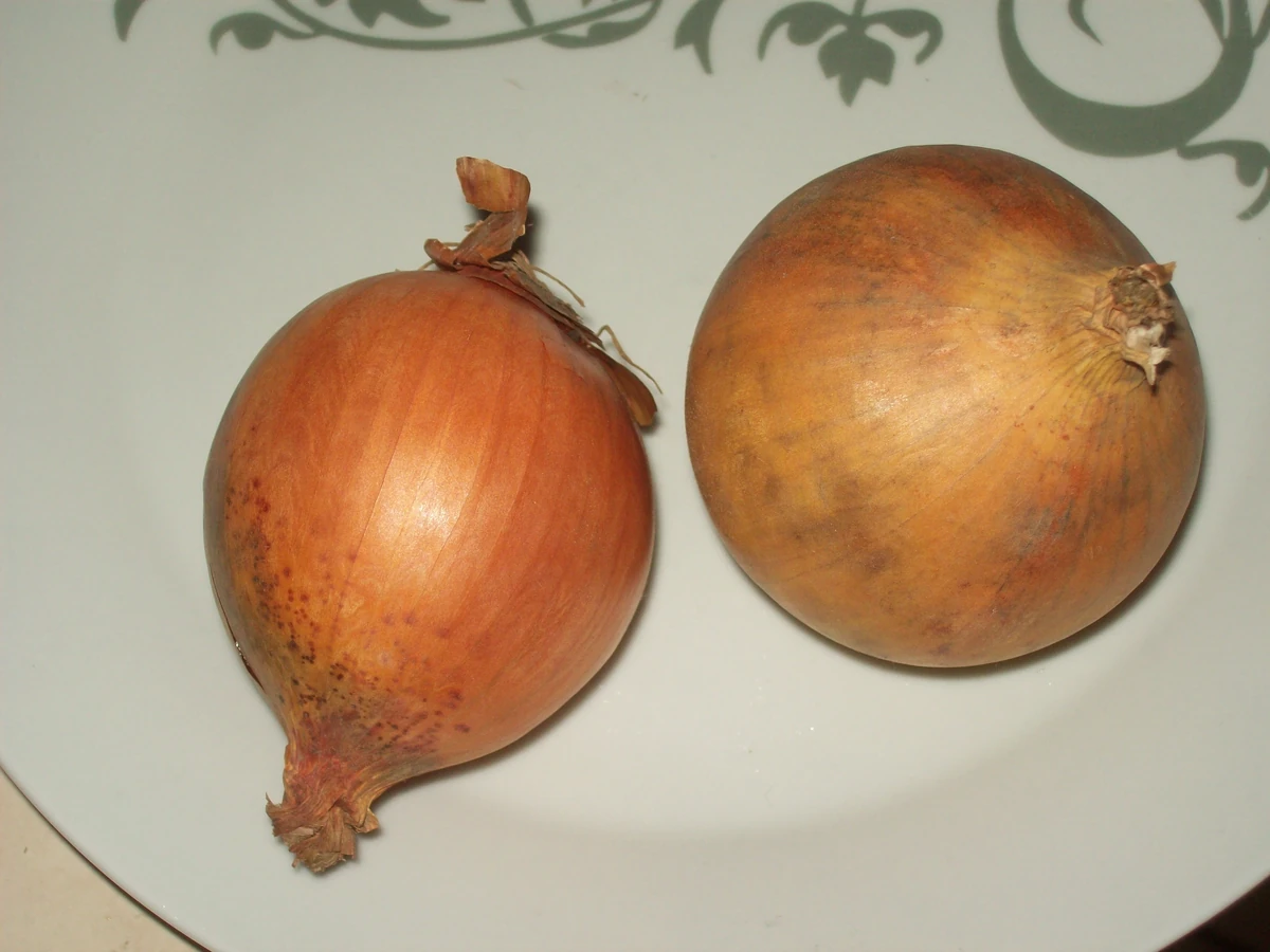 Ui | Recepten Wiki | Fandom