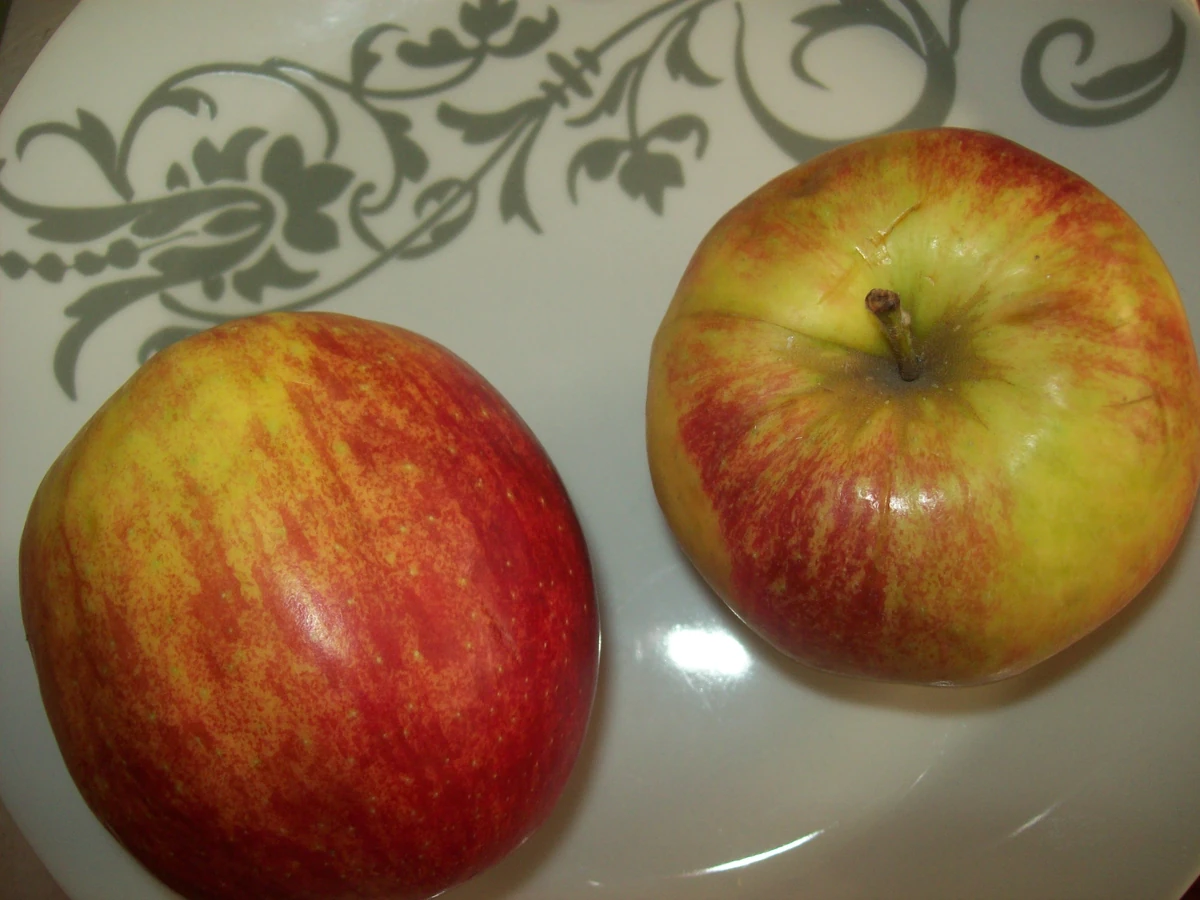 Appel | Recepten Wiki | Fandom