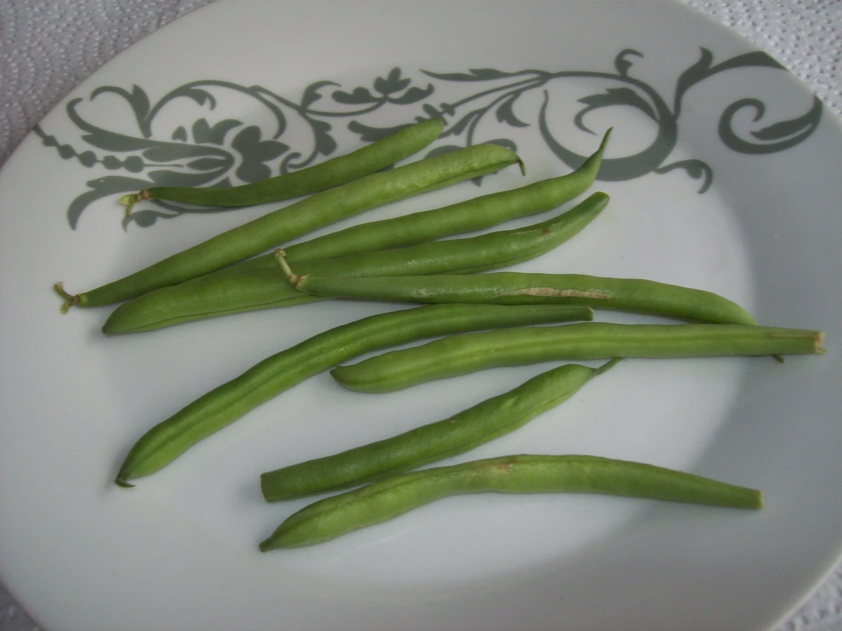 Sperzieboon | Recepten Wiki | Fandom