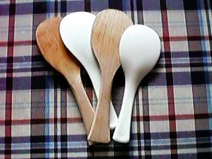 Shamoji | Recipes Wiki | Fandom