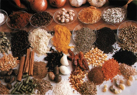 Spices | Recipes Wiki | Fandom