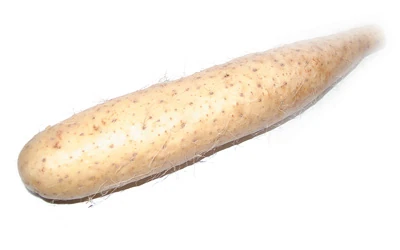 Yamaimo | Recipes Wiki | Fandom