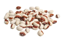 Steuben yellow bean | Recipes Wiki | Fandom