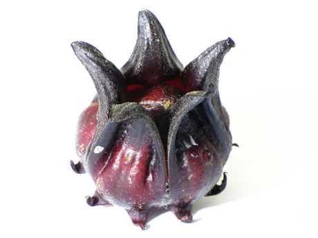 Roselle | Recipes Wiki | Fandom
