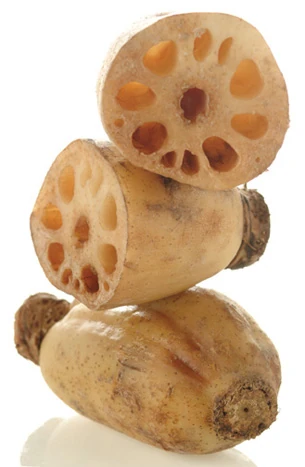 Lotus root | Recipes Wiki | Fandom