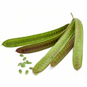 Guajes | Recipes Wiki | Fandom