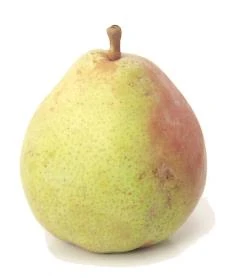 Comice pear | Recipes Wiki | Fandom