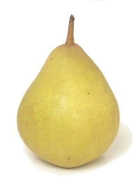 French butter pear | Recipes Wiki | Fandom