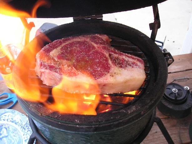 Sear | Recipes Wiki | Fandom