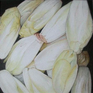 Witlof | Recipes Wiki | Fandom