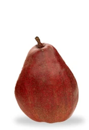 Red Anjou pear | Recipes Wiki | Fandom