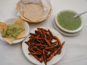 Gusanos de maguey | Recipes Wiki | Fandom