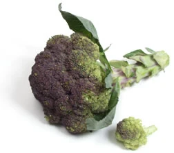 Purple broccoli | Recipes Wiki | Fandom