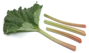 Rhubarb | Recipes Wiki | Fandom