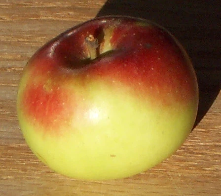 Lady apple | Recipes Wiki | Fandom