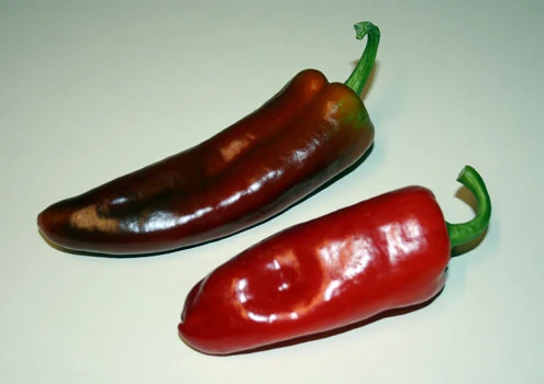 New Mexico red chile | Recipes Wiki | Fandom