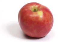 Gravenstein apple | Recipes Wiki | Fandom