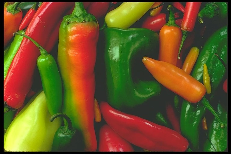 Peppers | Recipes Wiki | Fandom