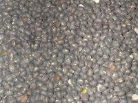 Urd bean | Recipes Wiki | Fandom