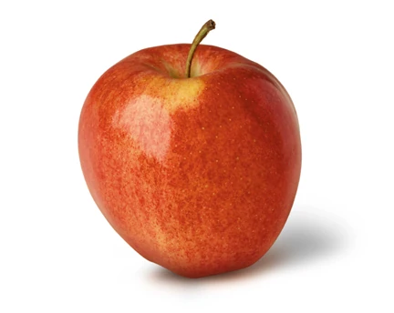 Gala apple | Recipes Wiki | Fandom
