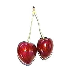 Lambert cherry | Recipes Wiki | Fandom