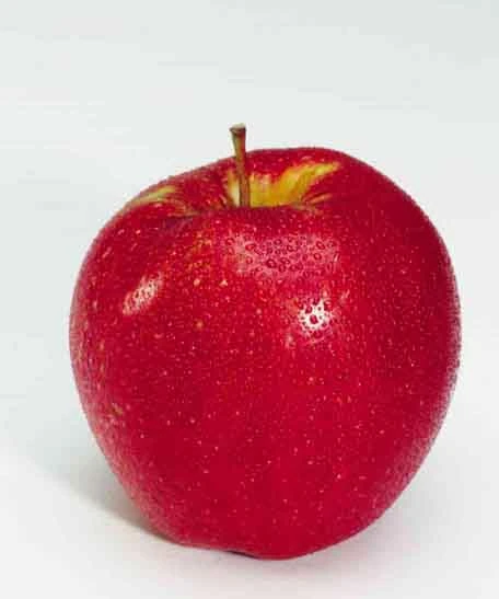 Apfel | Recipes Wiki | Fandom