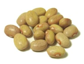 Vallarta bean | Recipes Wiki | Fandom